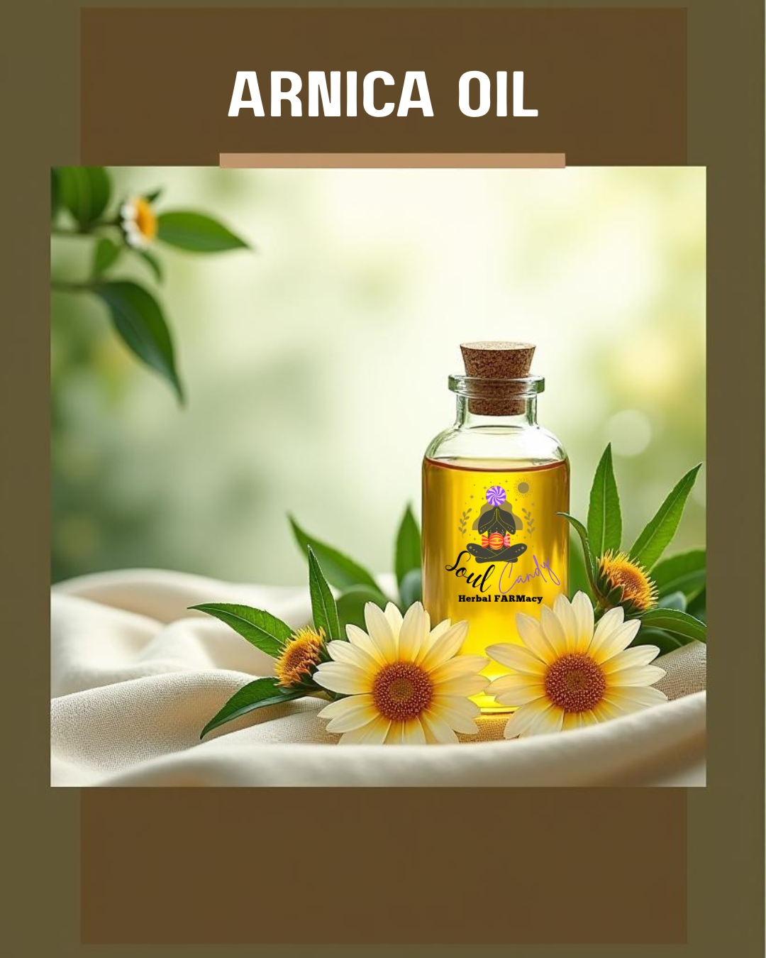 Arnica Infused Oil – Soul Candy Herbal FARMacy